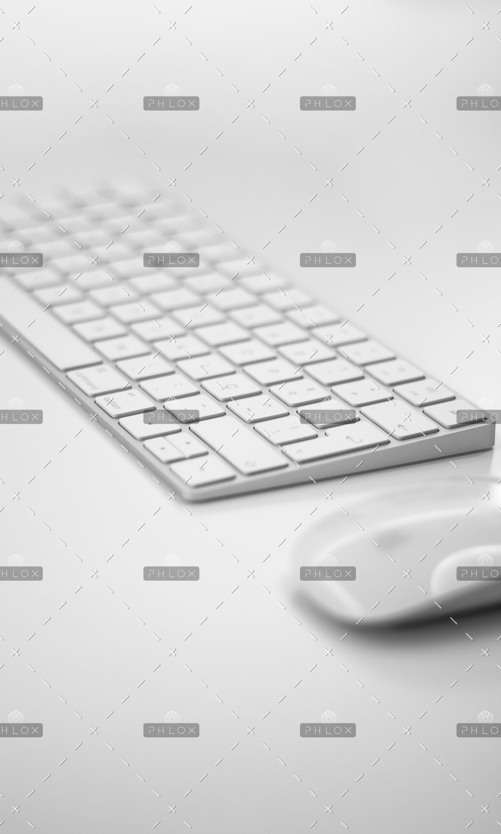 How to Automate Visual Regression Testing in WordPress | WDF